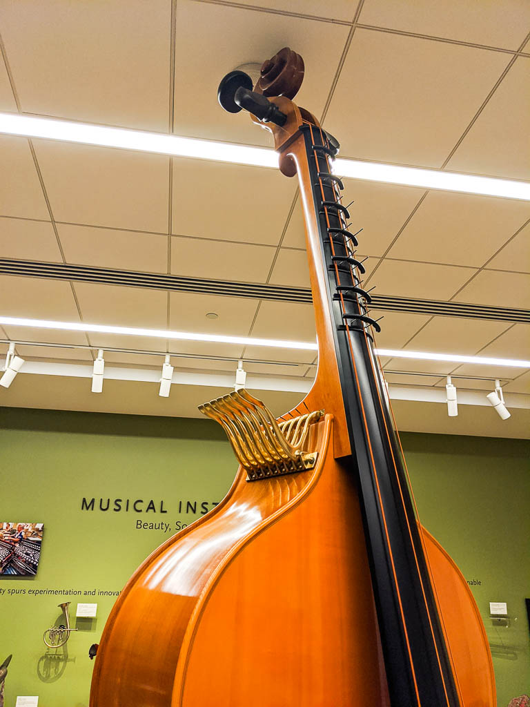 A Rainy Day: “Did you see the Octobass?” | Lobsters on the Loose